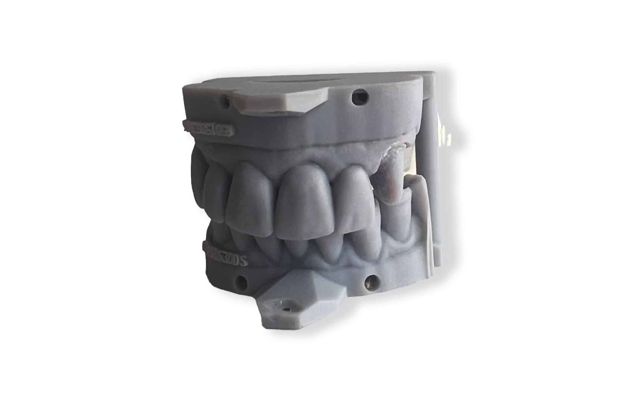 CT-Scanned Impressions & 3D Resin Models | DDS Lab