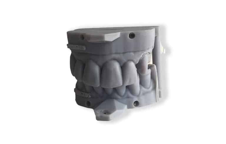 CT-Scanned Impressions & 3D Resin Models | DDS Lab